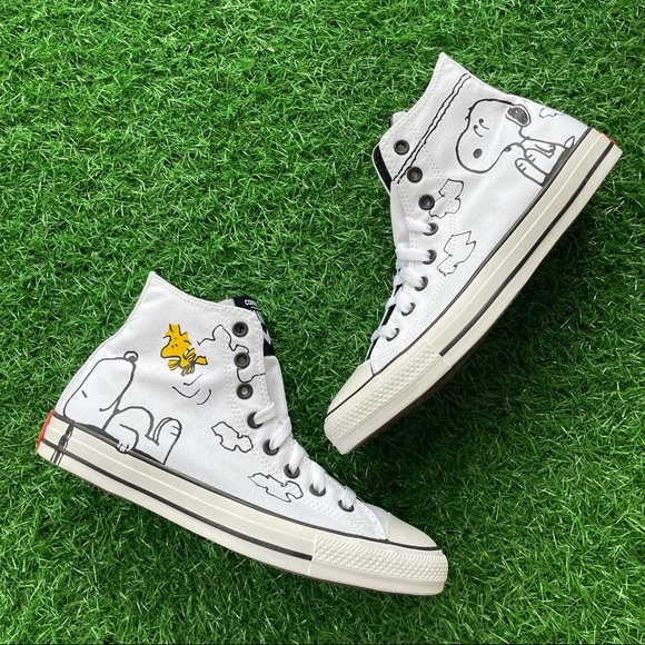 Converse | Shoes | Converse All Star Chuck Taylor Ctas Hi Peanuts ...